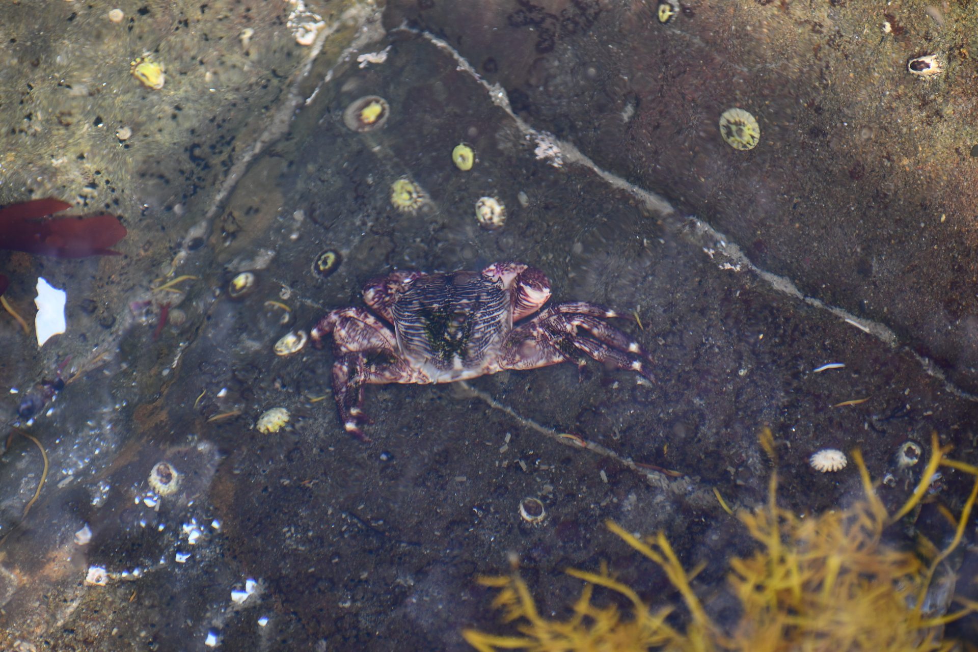 Health, Wealth, and Happiness - To Long Life and Honey in the Heart ...